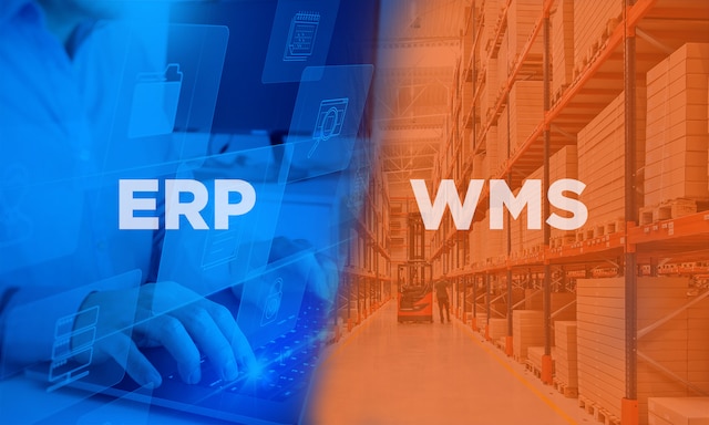 ERP vs. WMS: qual deles devemos escolher para nosso armazém? - Mecalux.com.br