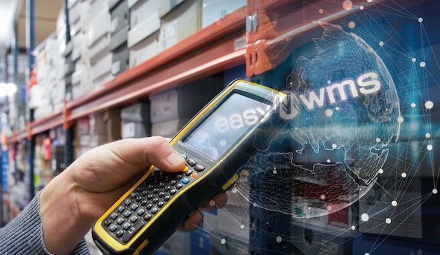 Guia para a implantação do sistema WMS - Mecalux.com.br